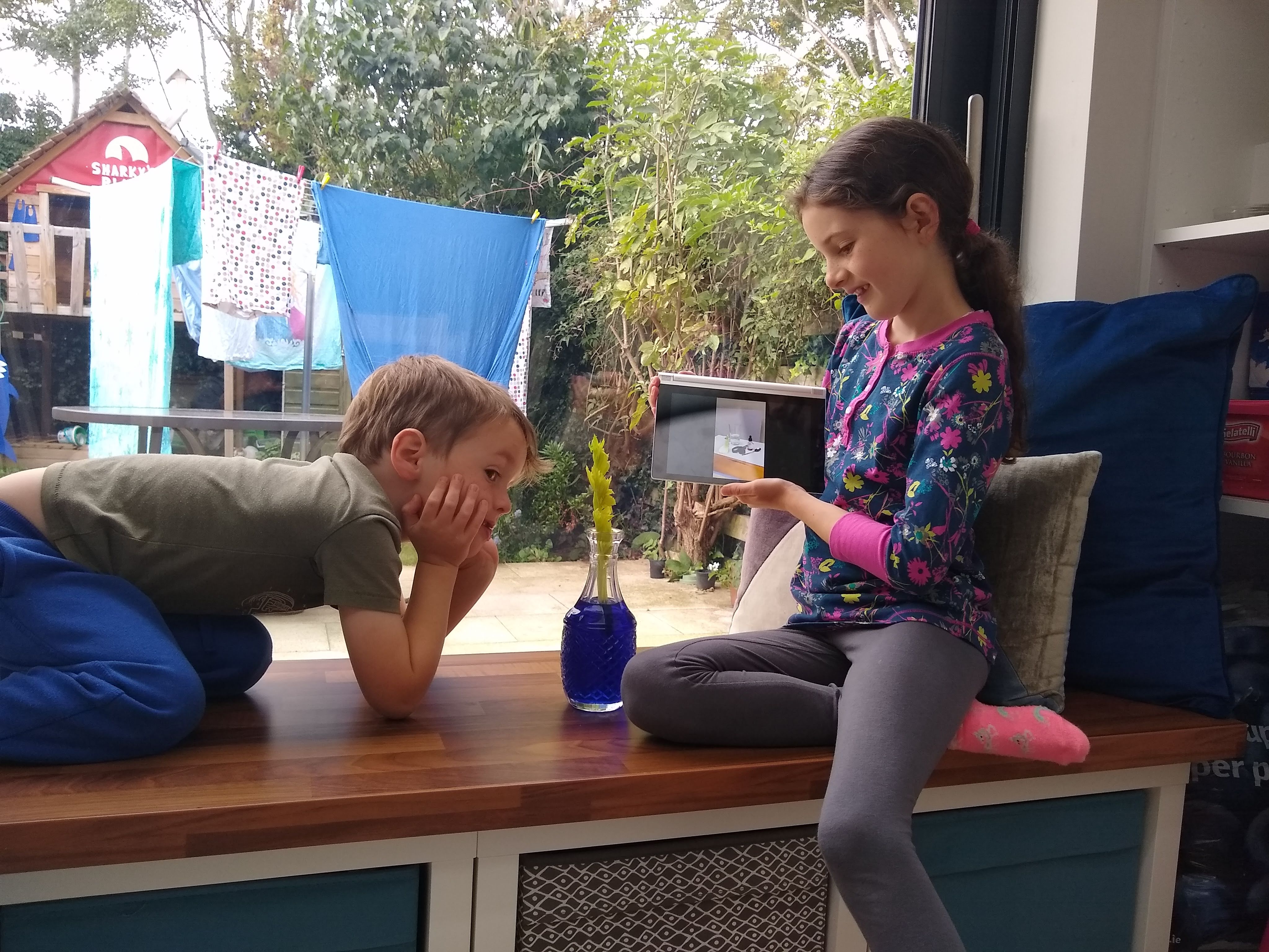 Student Work – Self Study Science