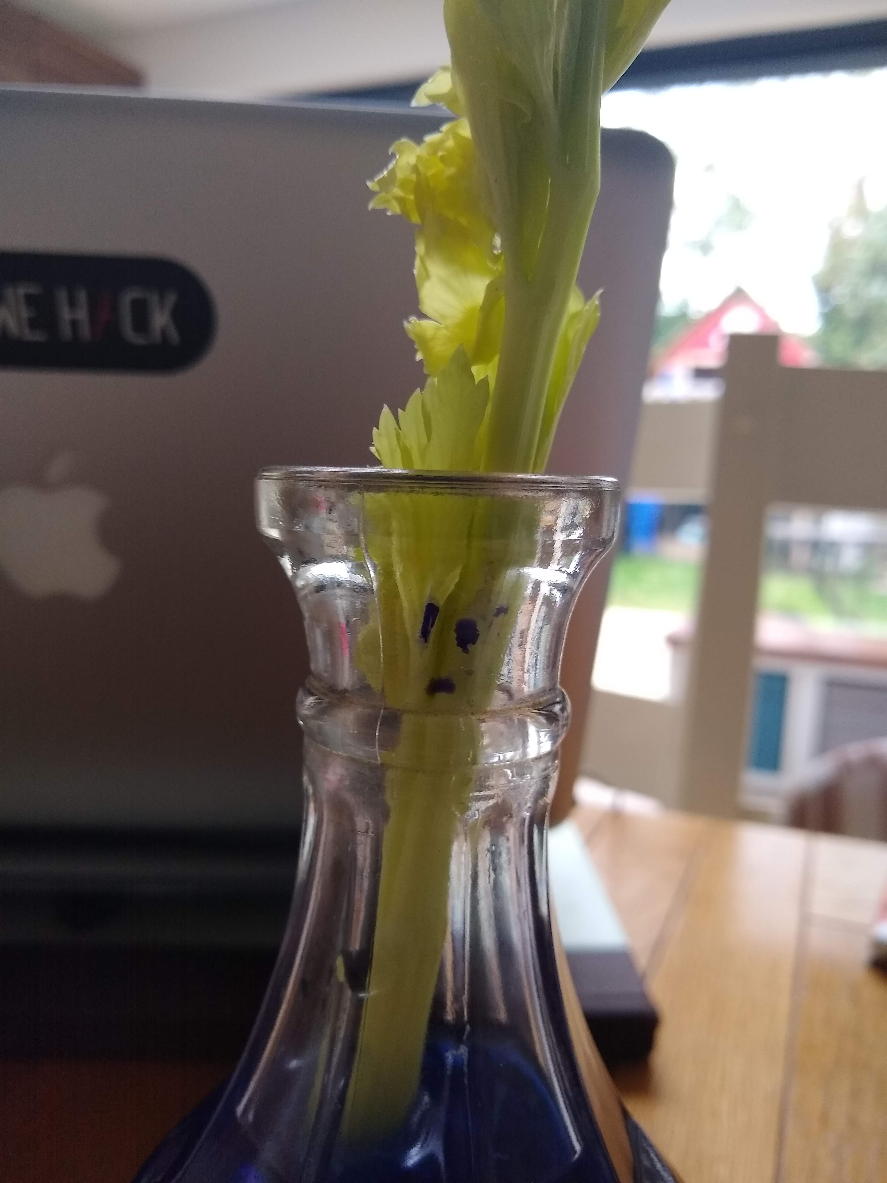 Student Work – Self Study Science